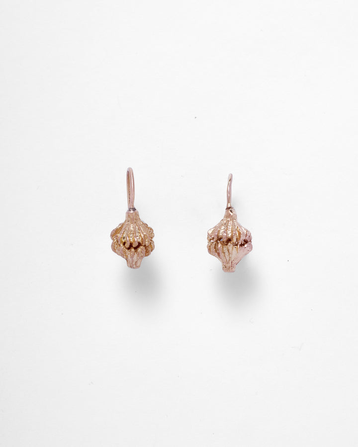 Everything – Ames, Lizzie